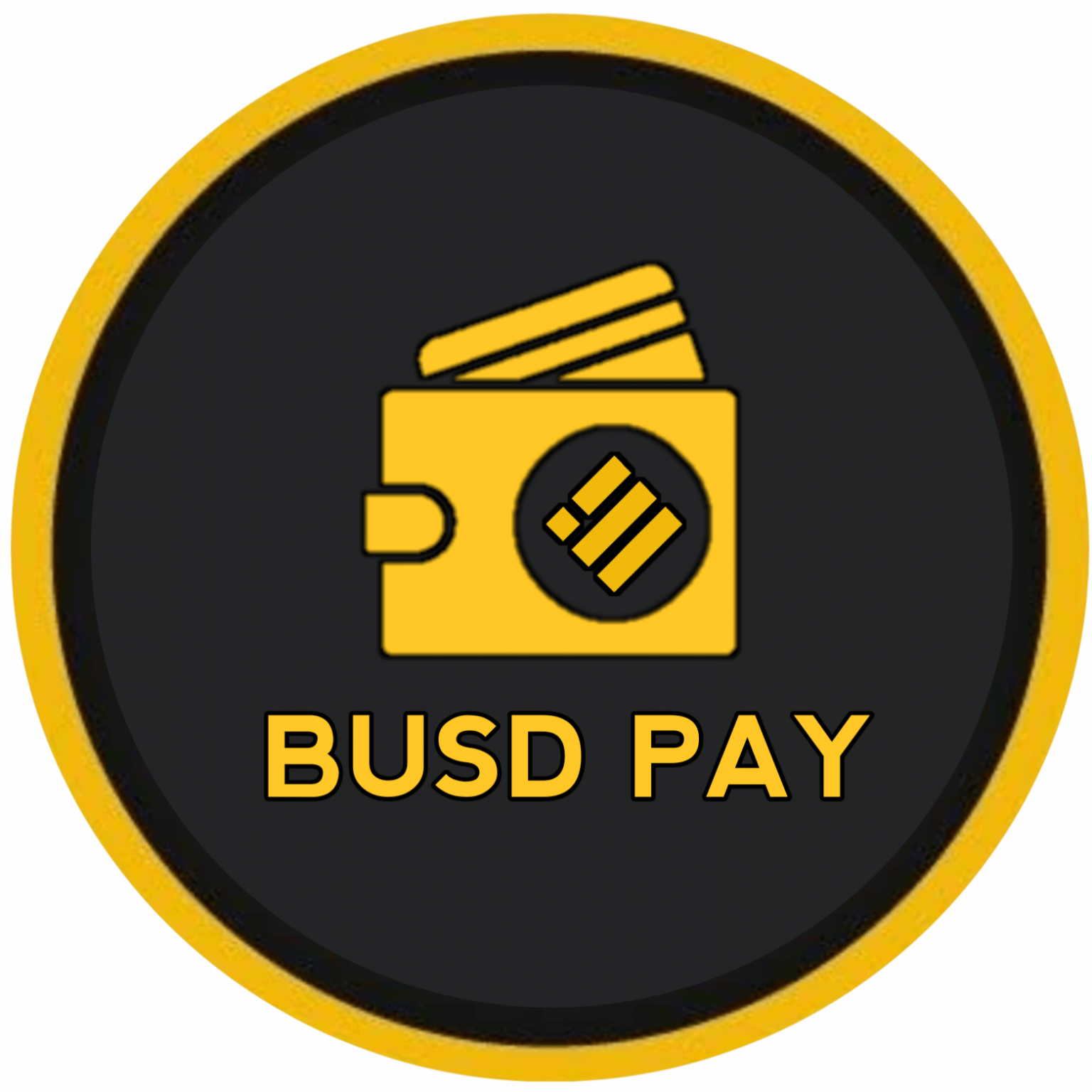 BUSD pay - Coinsult
