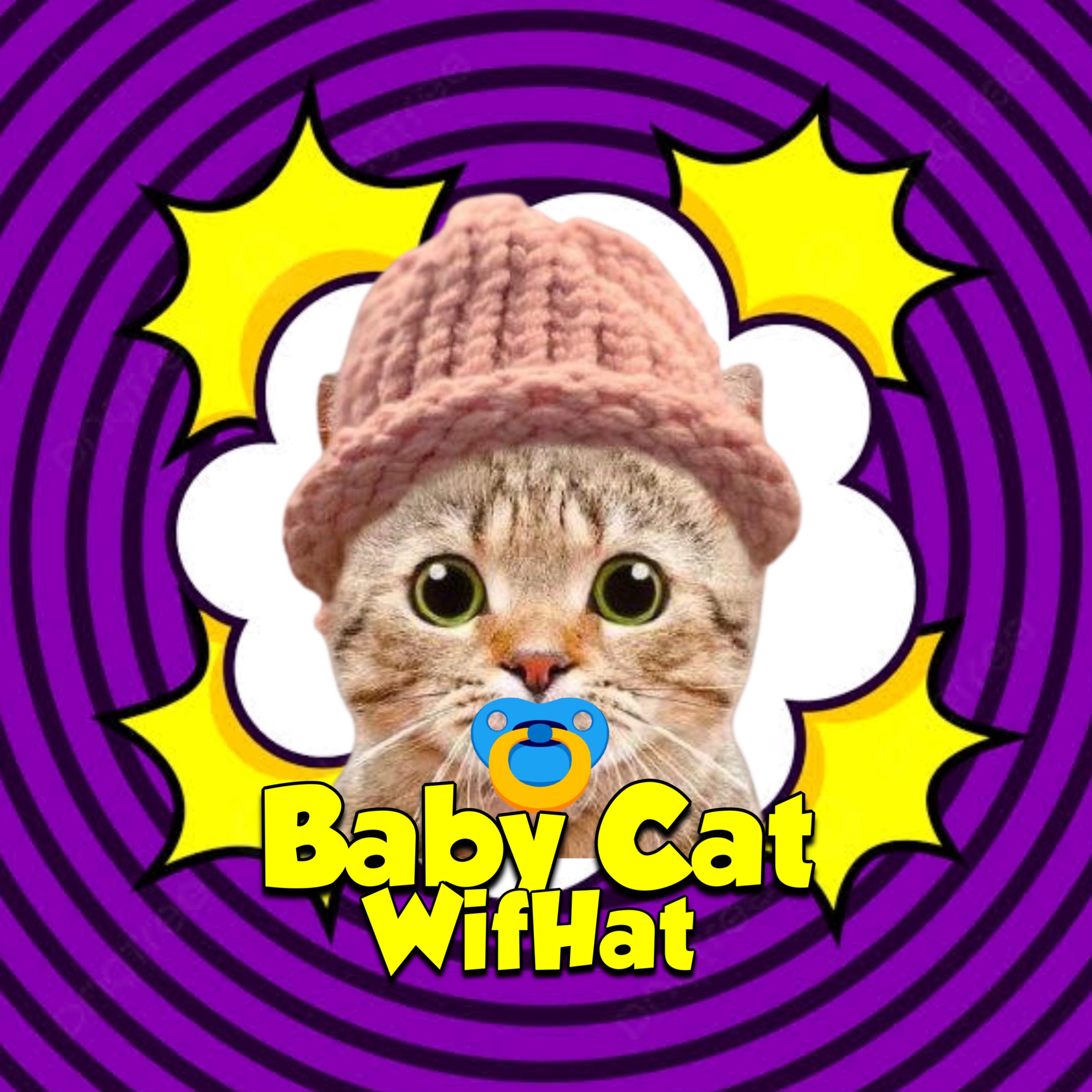 Baby CatWifHat - Coinsult