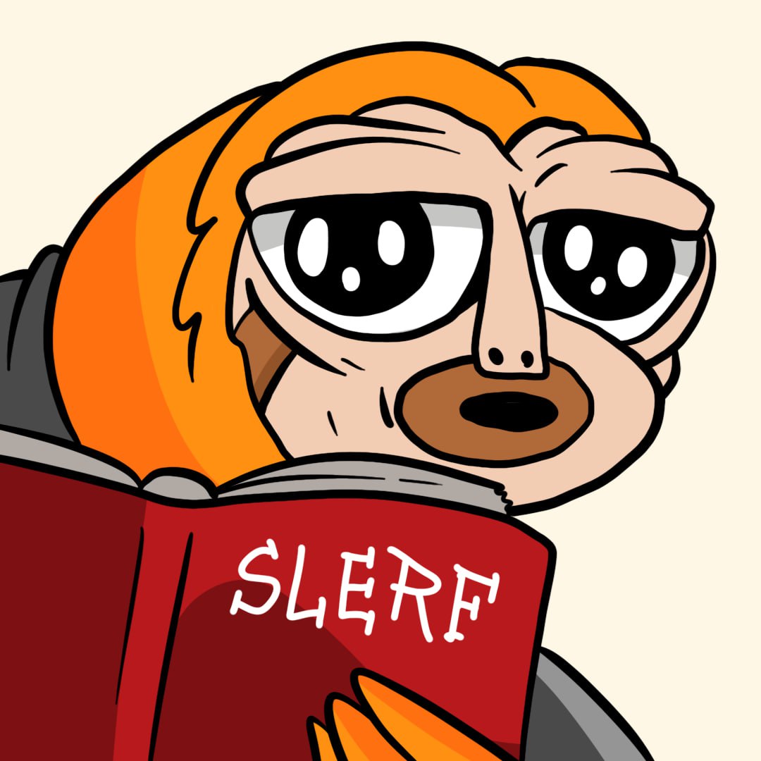 BOOK OF SLERF - Coinsult